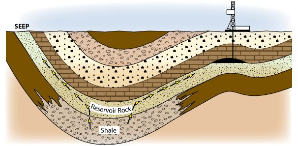 Introduction to Petroleum Reservoirs : PetroSkills